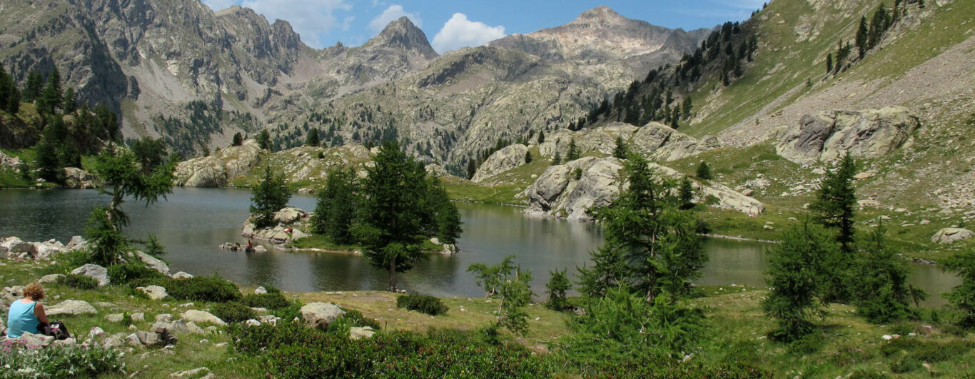 Greentours Natural History Holidays - Category: Natural World Tours ...